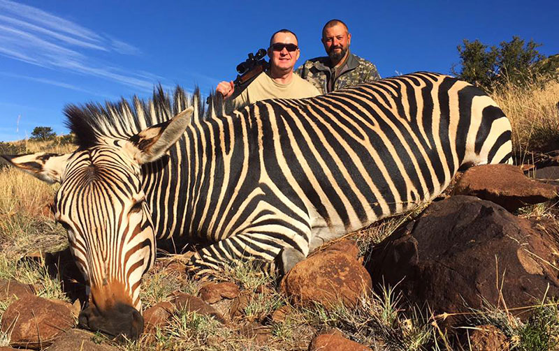 แพทย์สุดทนได้เงินน้อย ผันตัวเป็นพราน สร้างธุรกิจล่าสัตว์ ฆ่าสิงโต-ช้าง ...