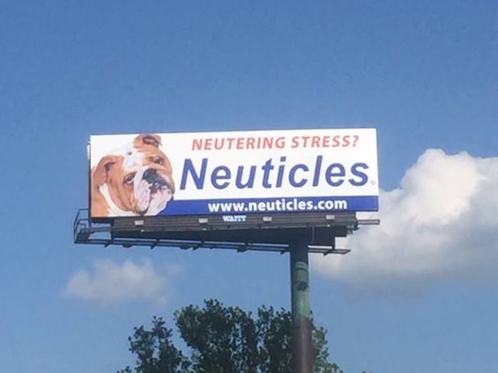 จากไอเดียเพี้ยนกลายเป็นขุมทรัพย์ ชายทำลูกอัณฑะเทียมขายจนเป็นมหาเศรษฐี