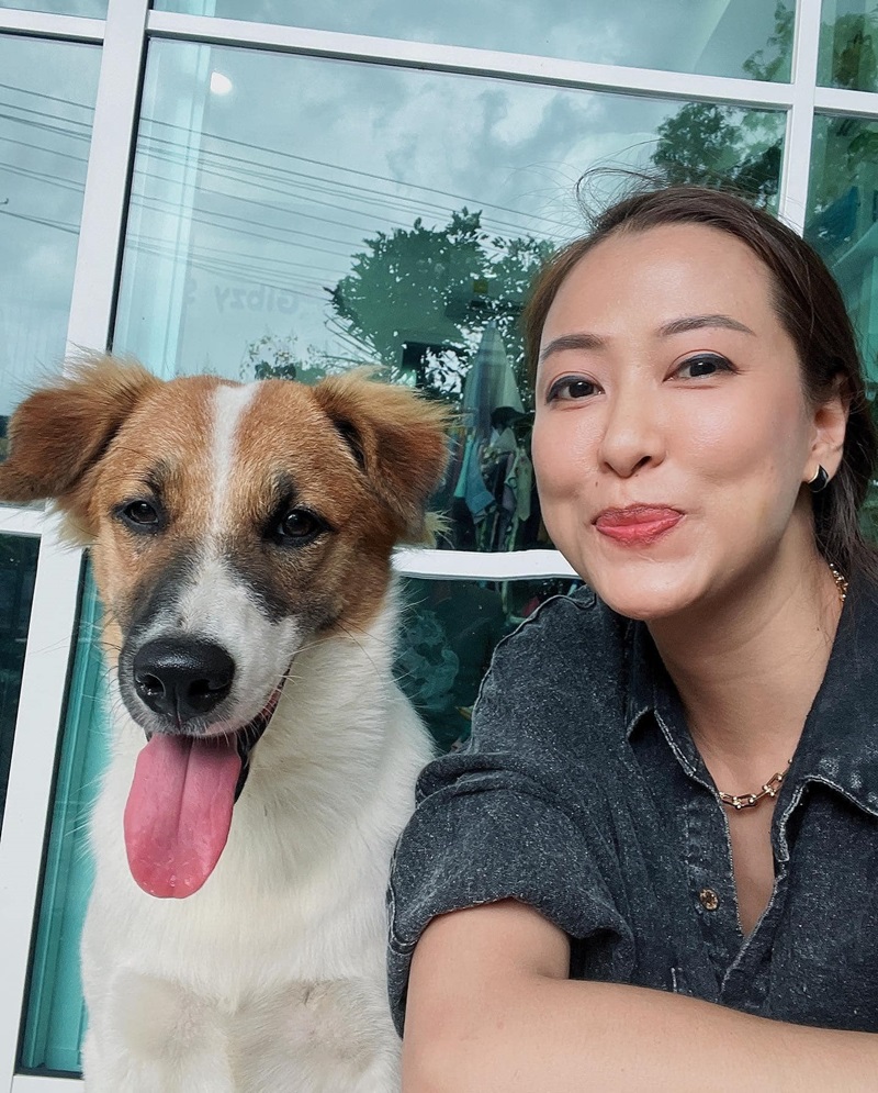 เจ้าของตามหา ดุ๊กดิ๊ก หมาหายไป 3 วัน ใครเจอรับเงินรางวัล 1 แสน ล่าสุด ...