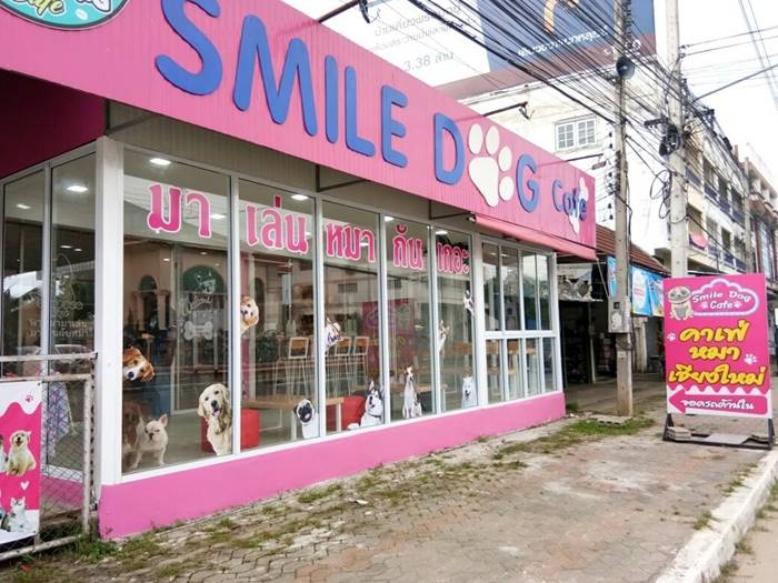 คาเฟ่หมาเชียงใหม่ ปิดร้านถาวร เซ่นโควิด Smile Dog Cafe หาเจ้าของใหม่หมา ...