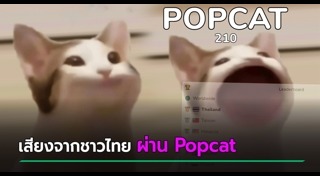 POPCAT เกมแมว วิธีเล่น popcat.click ทำง่าย ๆ